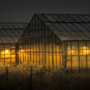 Why Control CO2 Levels at Night in Plant Grow Rooms? | CO2Meter.com